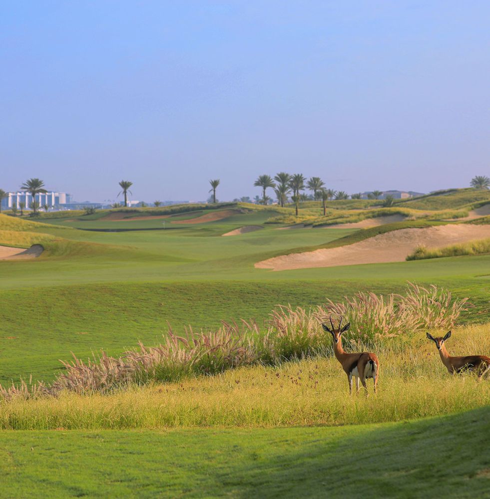 Aldar Hospitality Golf Courses on Yas and Saadiyat Island, Abu Dhabi ...