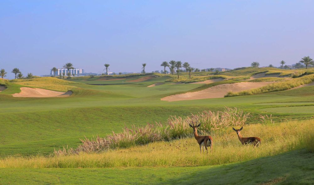 Aldar Hospitality Golf Courses on Yas and Saadiyat Island, Abu Dhabi ...